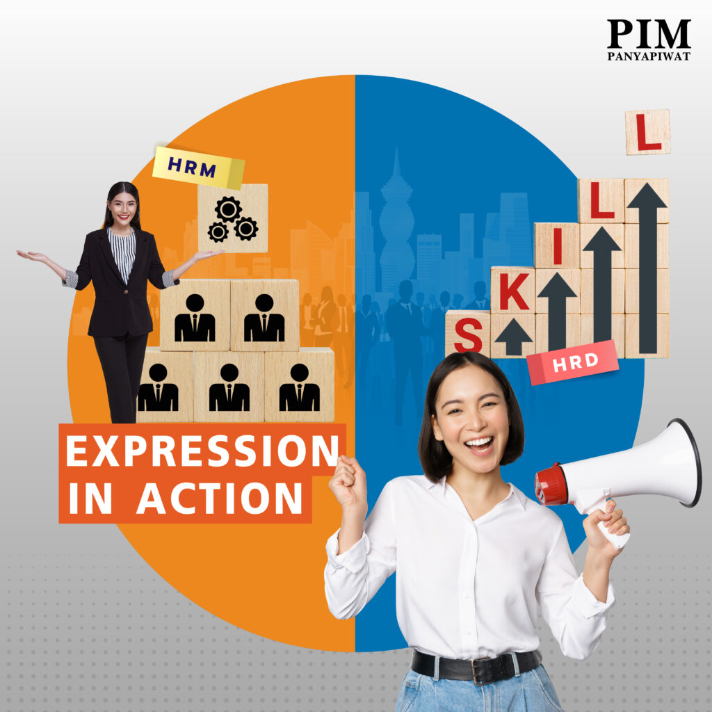 HRM & HRD ตัวตึงในการบริหารทรัพยากรมนุษย์ – พีไอเอ็ม PIM